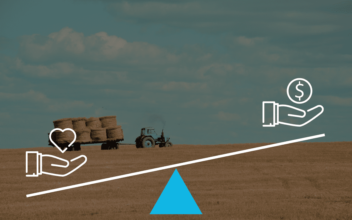 Focus Trends: Community Identity - Retail Strategies